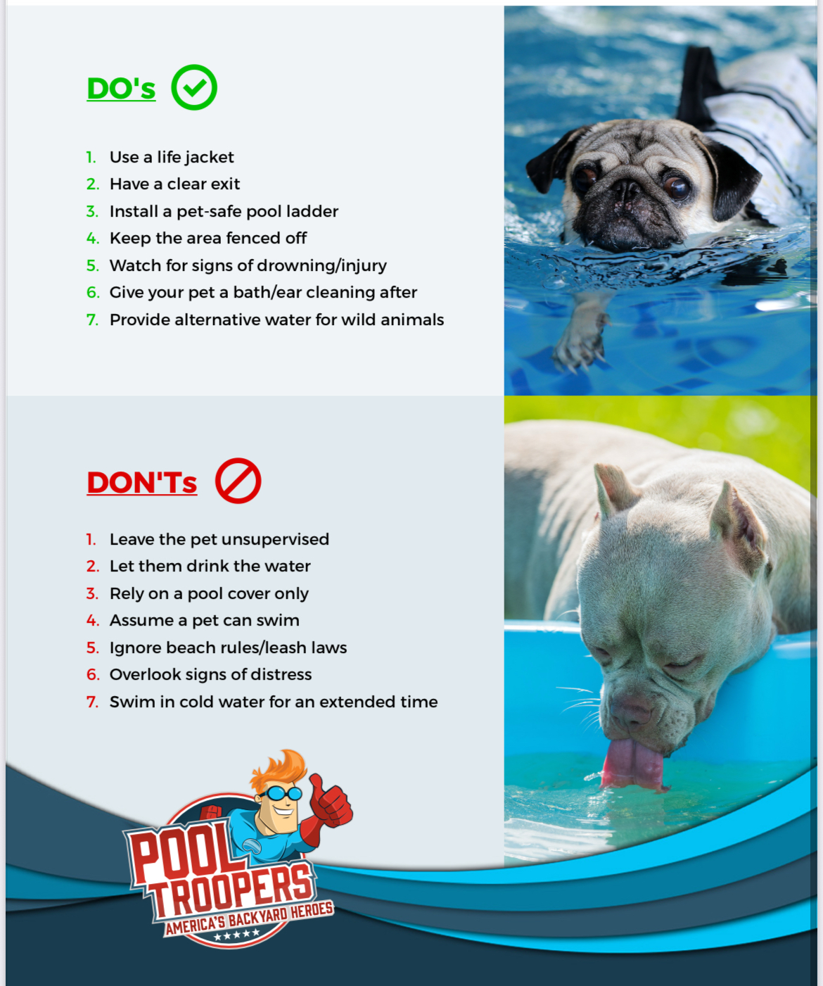 What to know before hitting the water! | FIDO Friendly